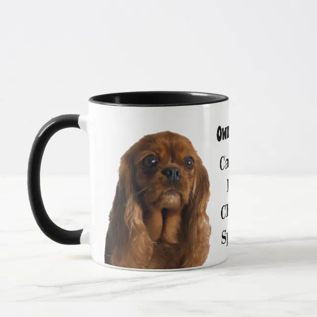 Owned By A Ruby Cavalier King Charles Spaniel Mug | Zazzle