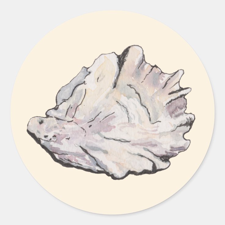 Oyster Watercolor Classic Round Sticker | Zazzle