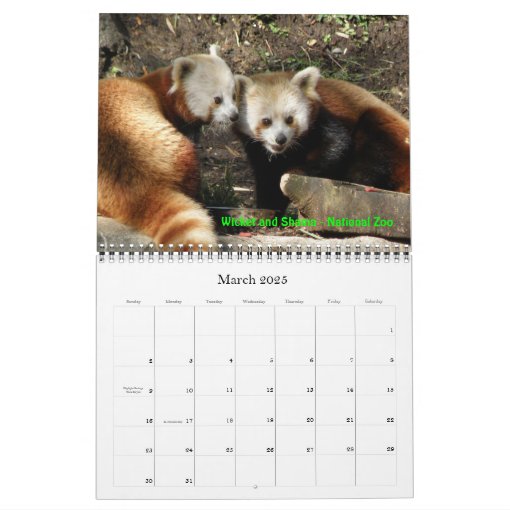 P8310607, Love those Red Pandas!, ... - Customized Calendar | Zazzle