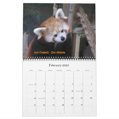 P8310607, Love those Red Pandas!, ... - Customized Calendar | Zazzle