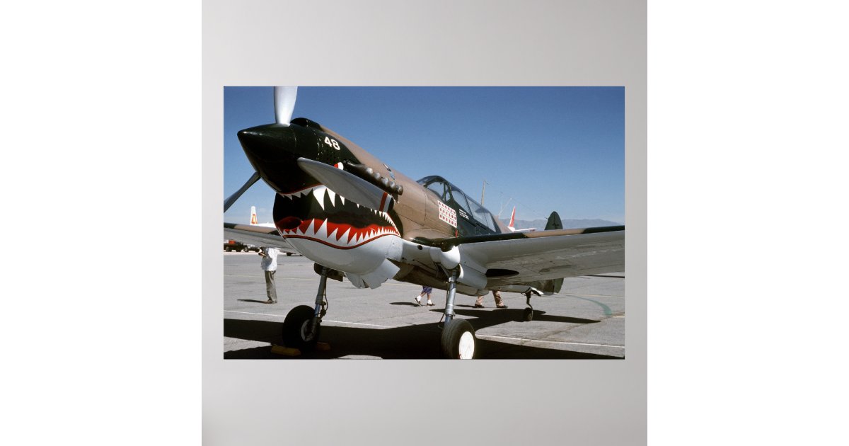 P-40 Warhawk Poster | Zazzle