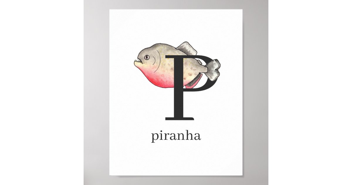 P for Piranha Poster | Zazzle