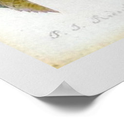 P.J. Redoute Bourbon Rose Poster | Zazzle