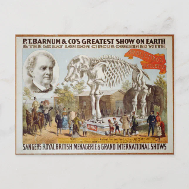 P.T. Barnum Show postcard | Zazzle