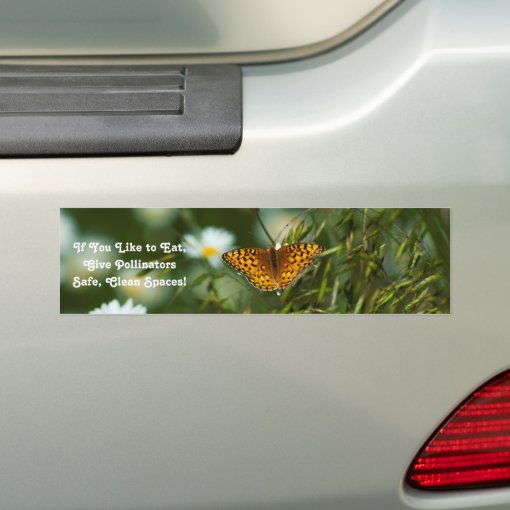 Pacific Fritillary Butterfly Bumper Sticker | Zazzle