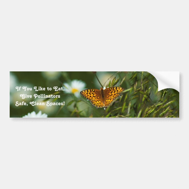Pacific Fritillary Butterfly Bumper Sticker | Zazzle