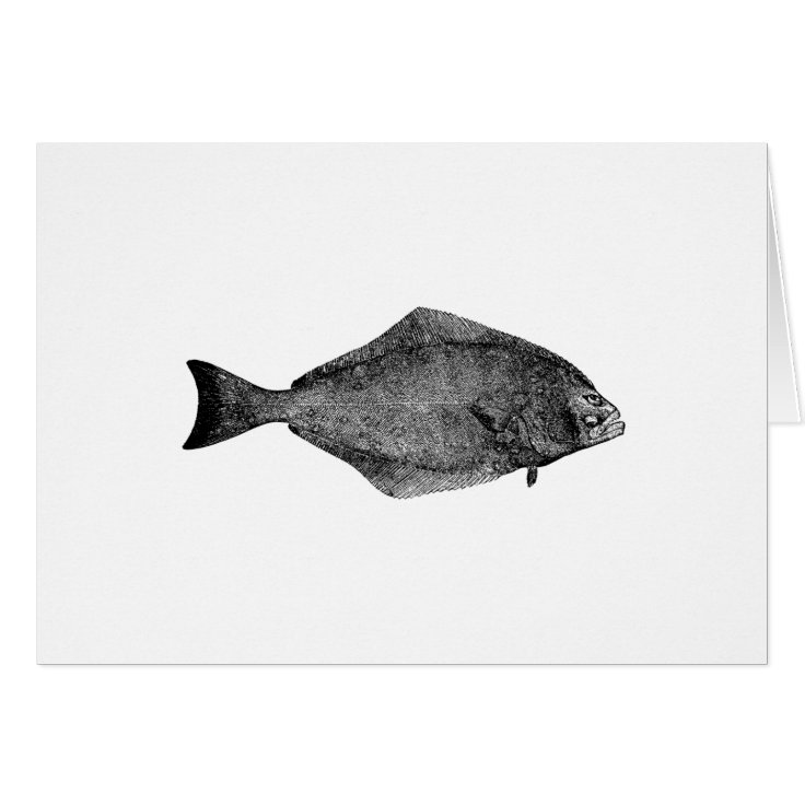 Pacific Halibut Logo | Zazzle