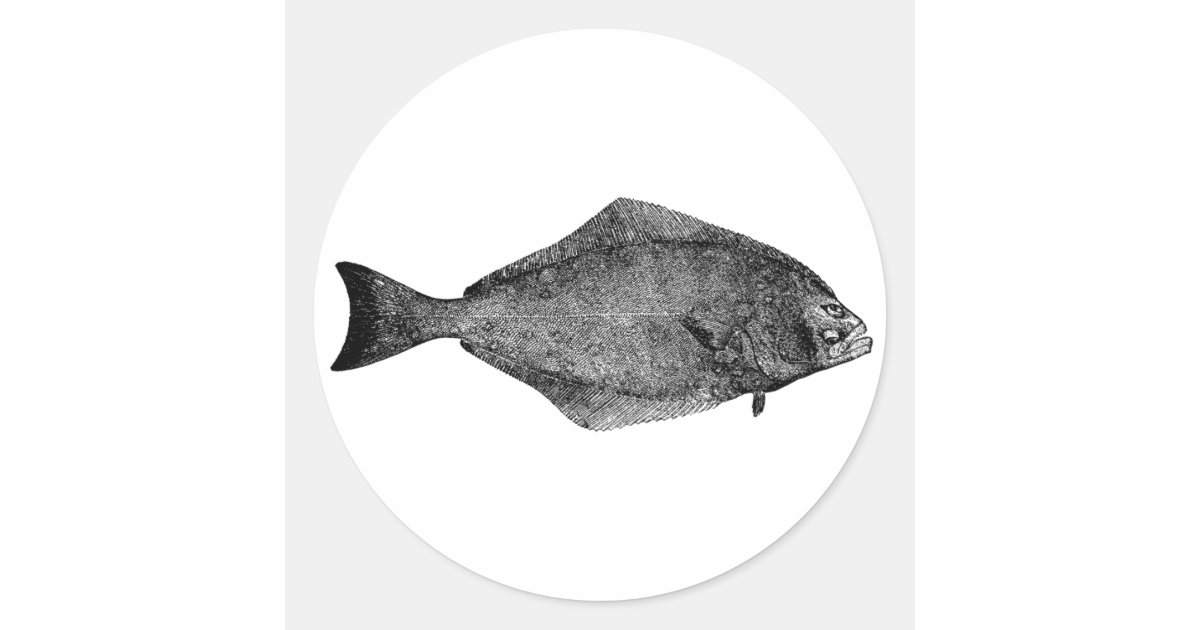 Pacific Halibut Logo Classic Round Sticker | Zazzle