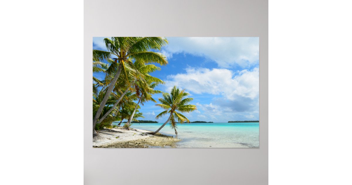 Pacific palm beach poster | Zazzle