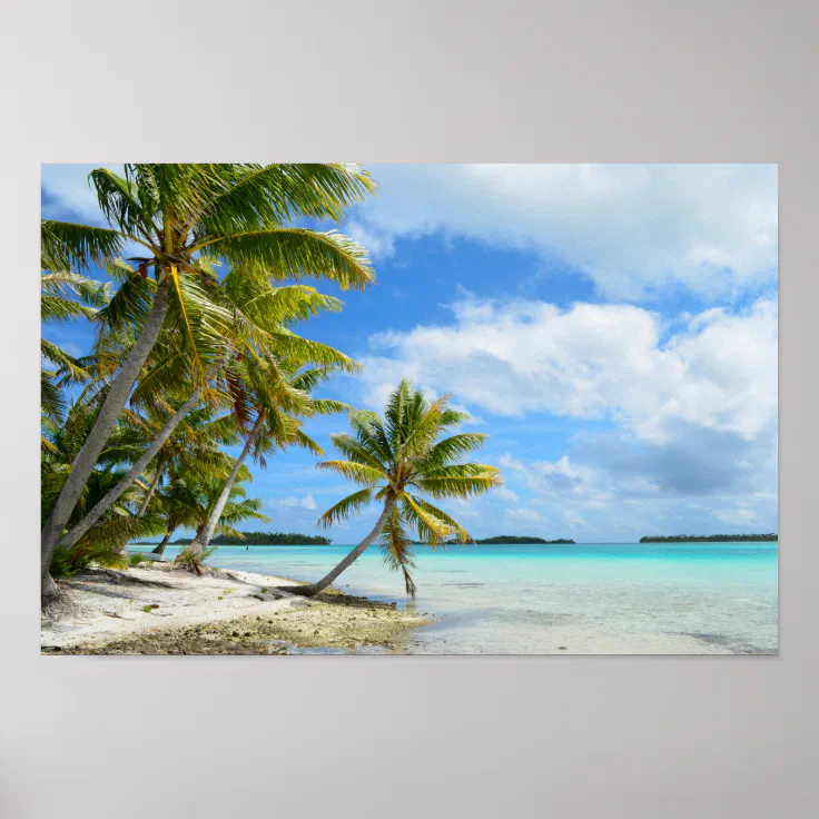 Pacific palm beach poster | Zazzle