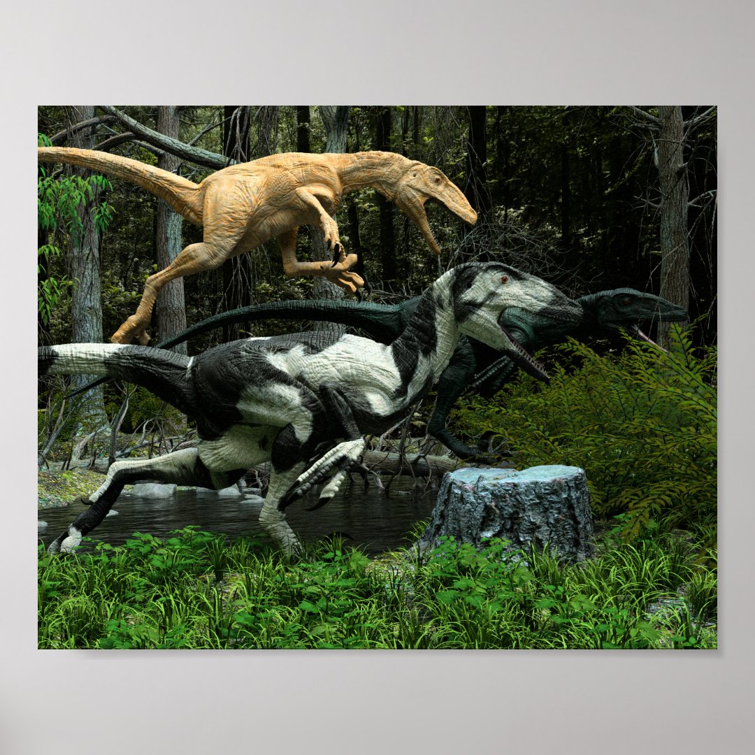 Pack of Raptors Poster | Zazzle