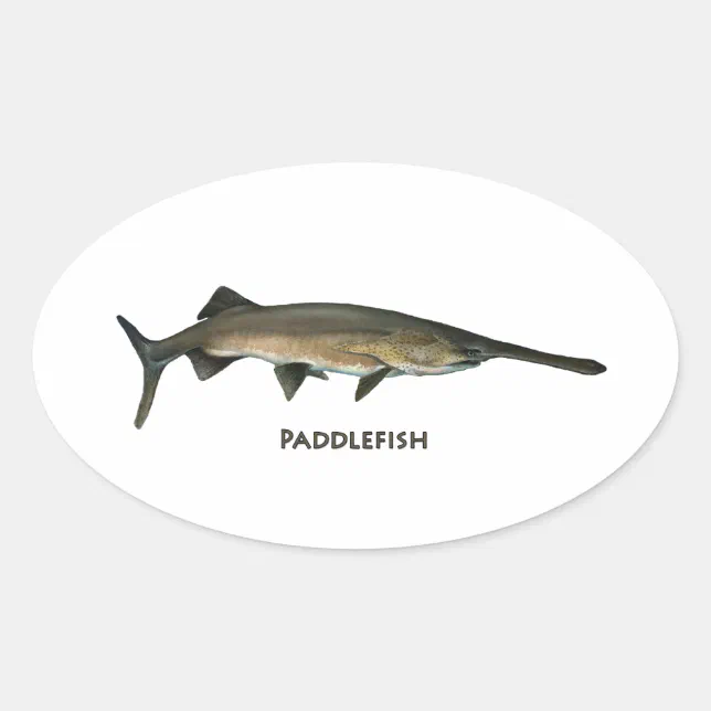 Paddlefish Oval Sticker | Zazzle
