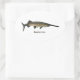 Paddlefish Oval Sticker | Zazzle
