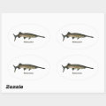 Paddlefish Oval Sticker | Zazzle
