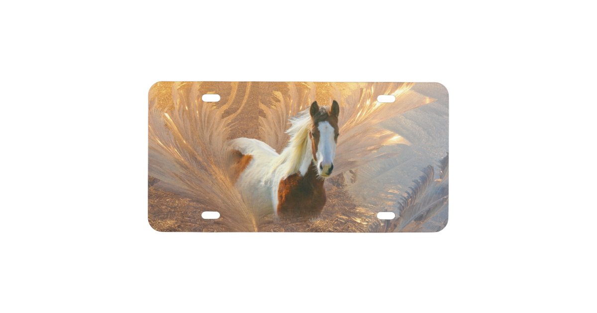Paint Horse Gold License Plate | Zazzle