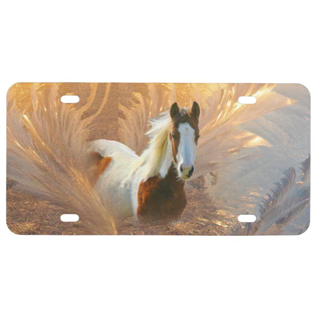 Paint Horse Gold License Plate | Zazzle