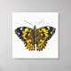 Painted lady butterfly canvas print | Zazzle