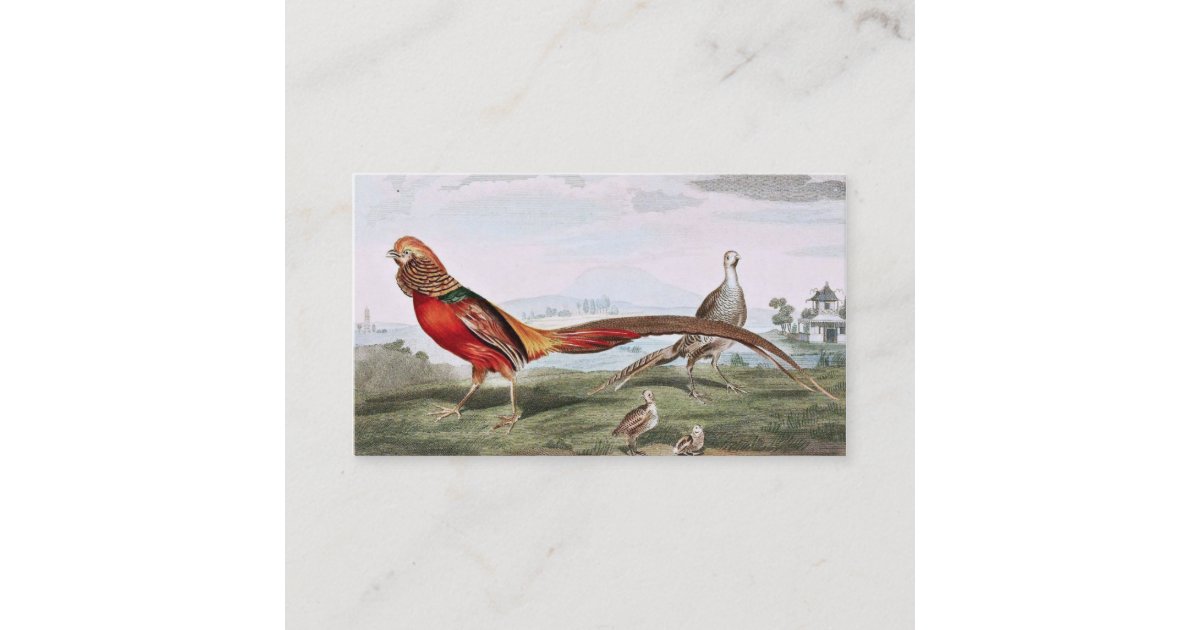 Painted Pheasants Business Card | Zazzle
