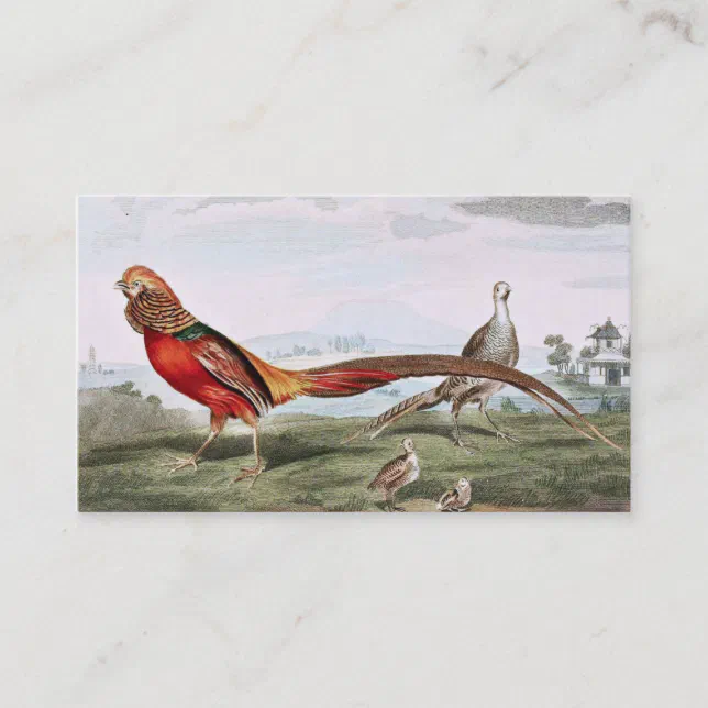Painted Pheasants Business Card | Zazzle