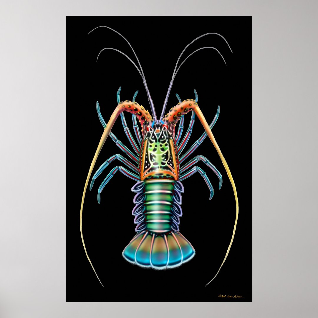 Painted Spiny Lobster Poster | Zazzle