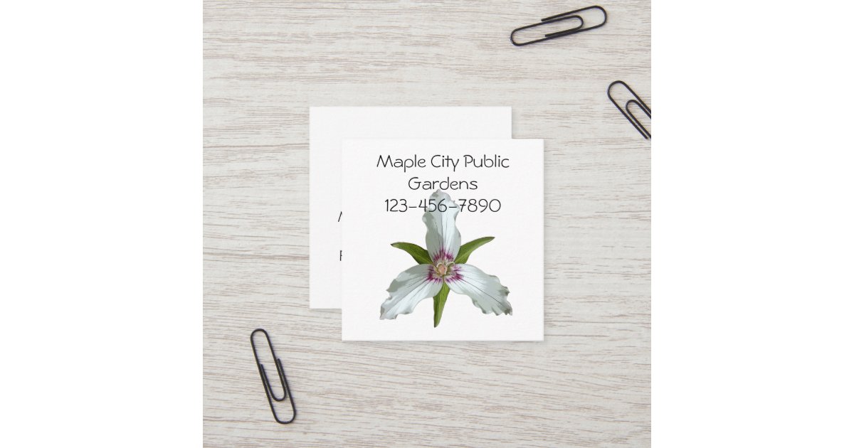 Painted Trillium Spring Wildflower Business Card | Zazzle