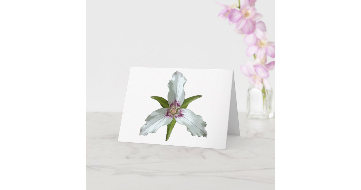 Painted Trillium Spring Wildflower Greeting Card | Zazzle