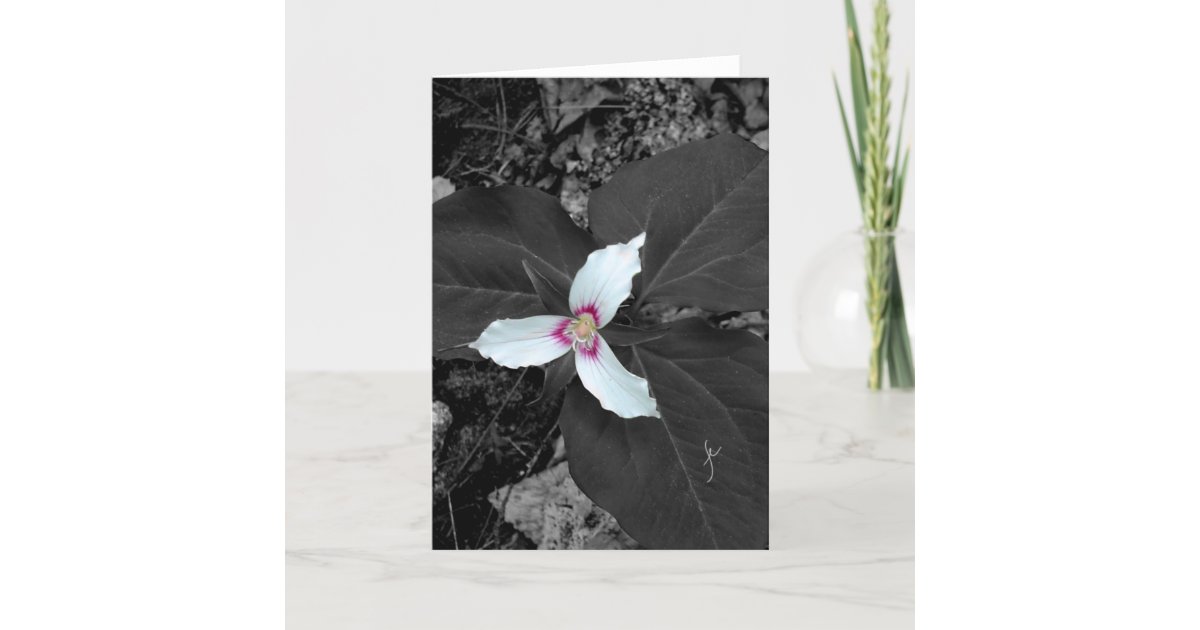 Painted Trillium Thank You Card | Zazzle
