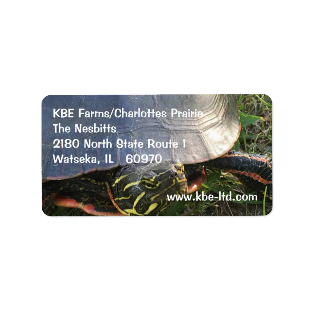 PAINTED TURTLE ADDRESS/STICKER LABEL | Zazzle