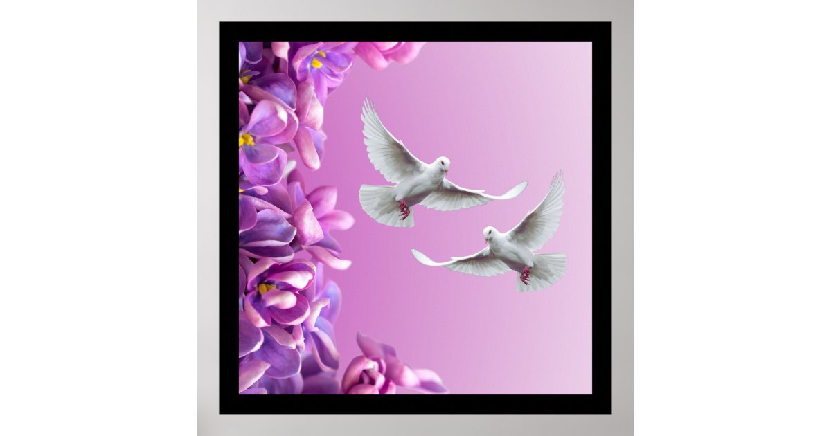 Pair Of Beautiful White Doves Poster | Zazzle