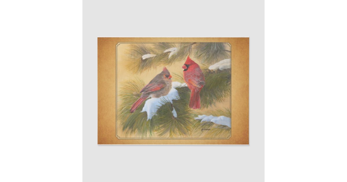 Pair of cardinals tissue paper | Zazzle