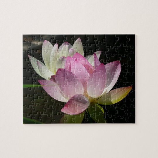 Pair of Lotus Flowers II Jigsaw Puzzle | Zazzle.com