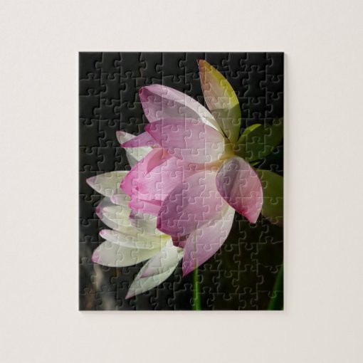 Pair of Lotus Flowers II Jigsaw Puzzle | Zazzle