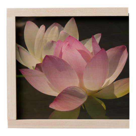 Pair of Lotus Flowers II Wooden Keepsake Box | Zazzle.com