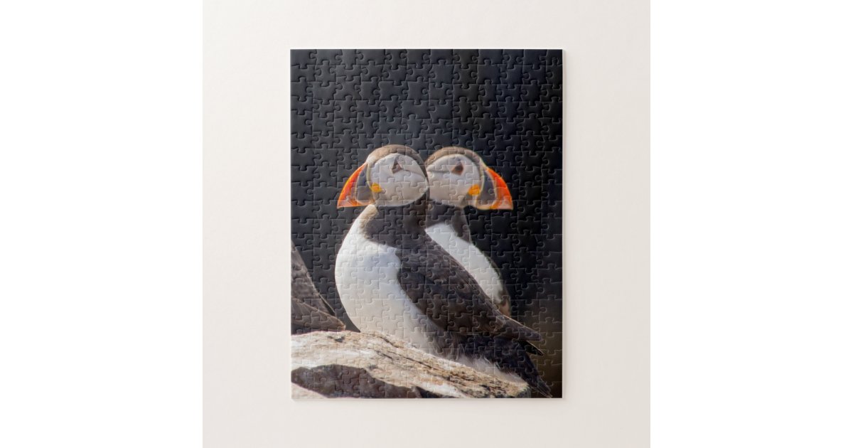 Pair of Puffins Jigsaw Puzzle | Zazzle