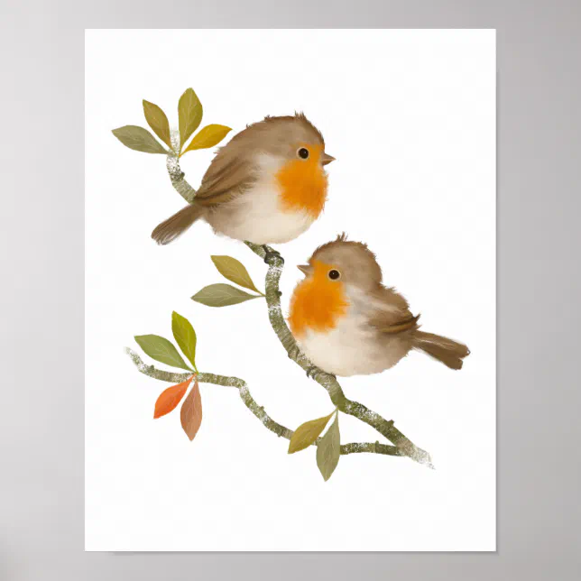 Pair of Robin Birds Poster Print | Zazzle
