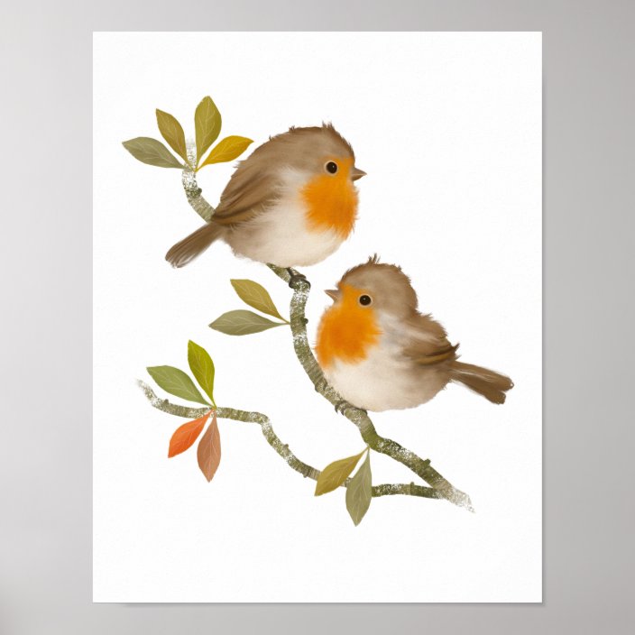 Pair of Robin Birds Poster Print | Zazzle.com