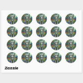"Paisley" Stickers | Zazzle
