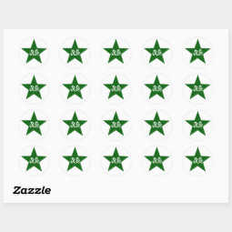 Pakistan Cricket Star Classic Round Sticker | Zazzle