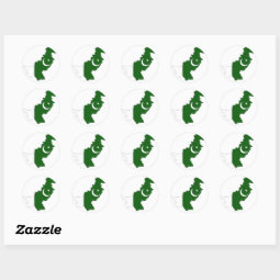 Pakistan flag map classic round sticker | Zazzle