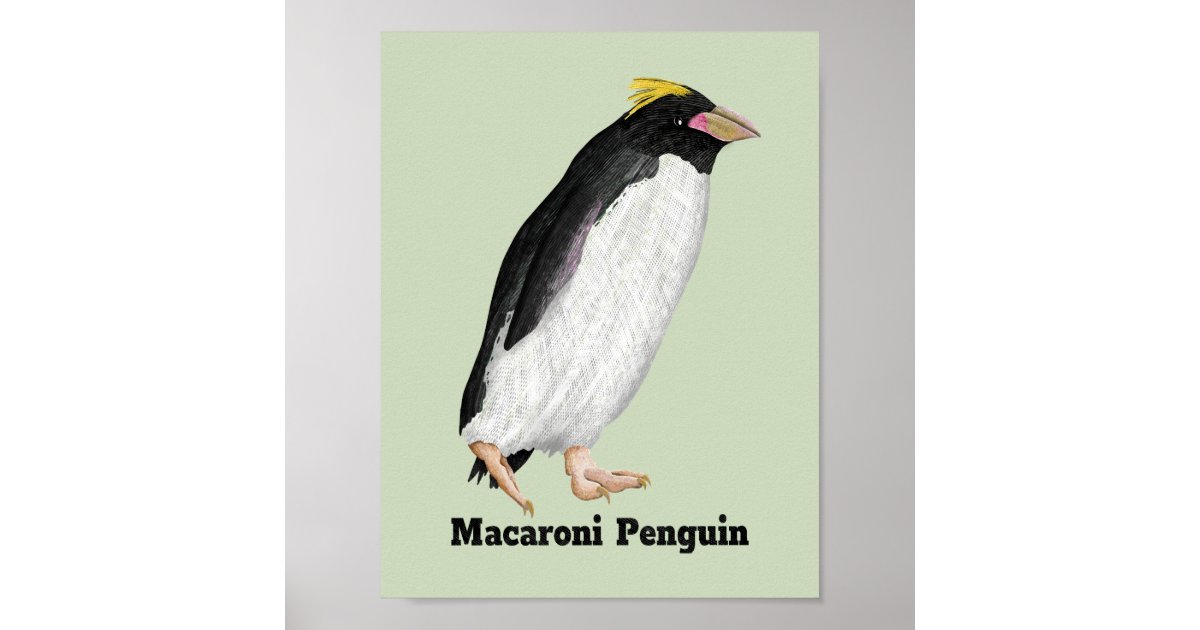 Palaeeudyptes Extinct Penguin Poster | Zazzle