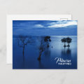 Palawan Philippines Postcard | Zazzle