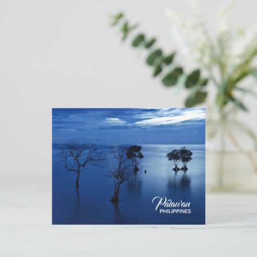 Palawan Philippines Postcard | Zazzle