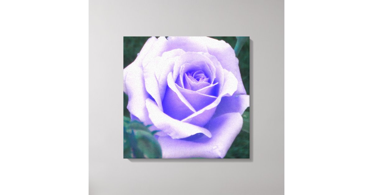 Pale Purple Rose Wrapped Canvas Print | Zazzle
