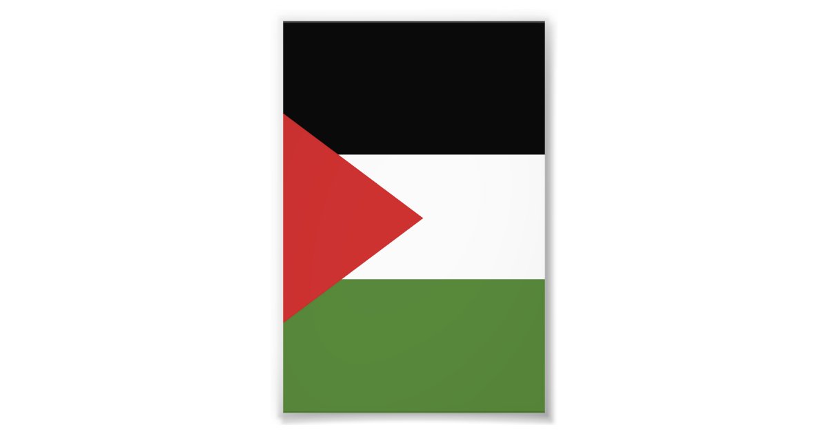 Palestine flag photo print | Zazzle