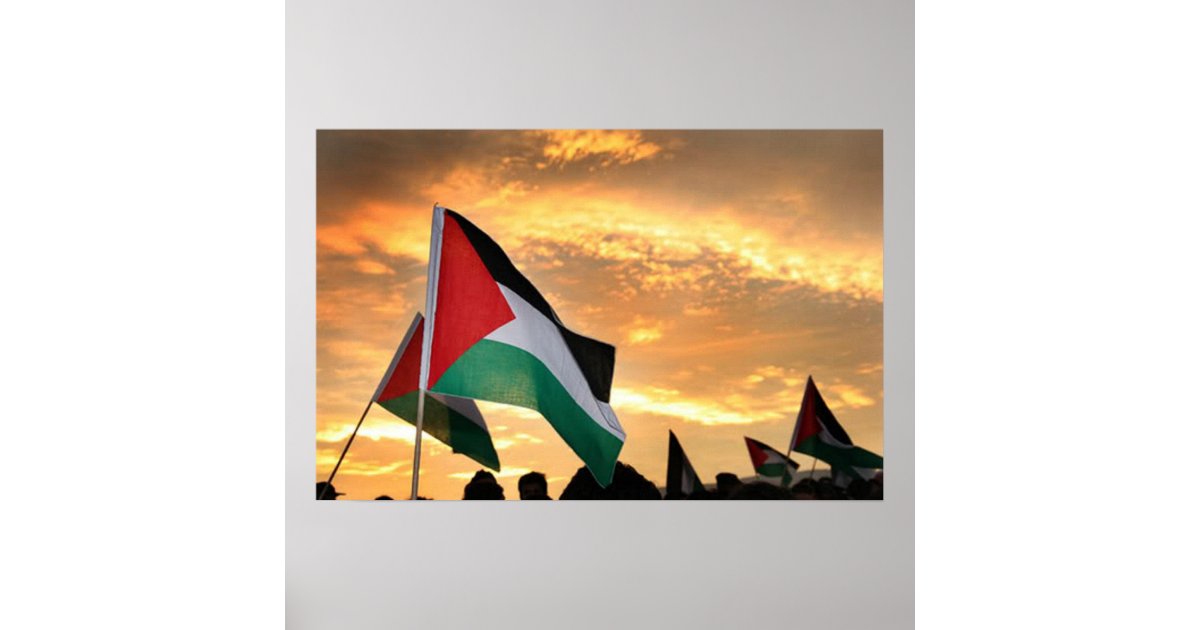 Palestine Flag View Poster | Zazzle