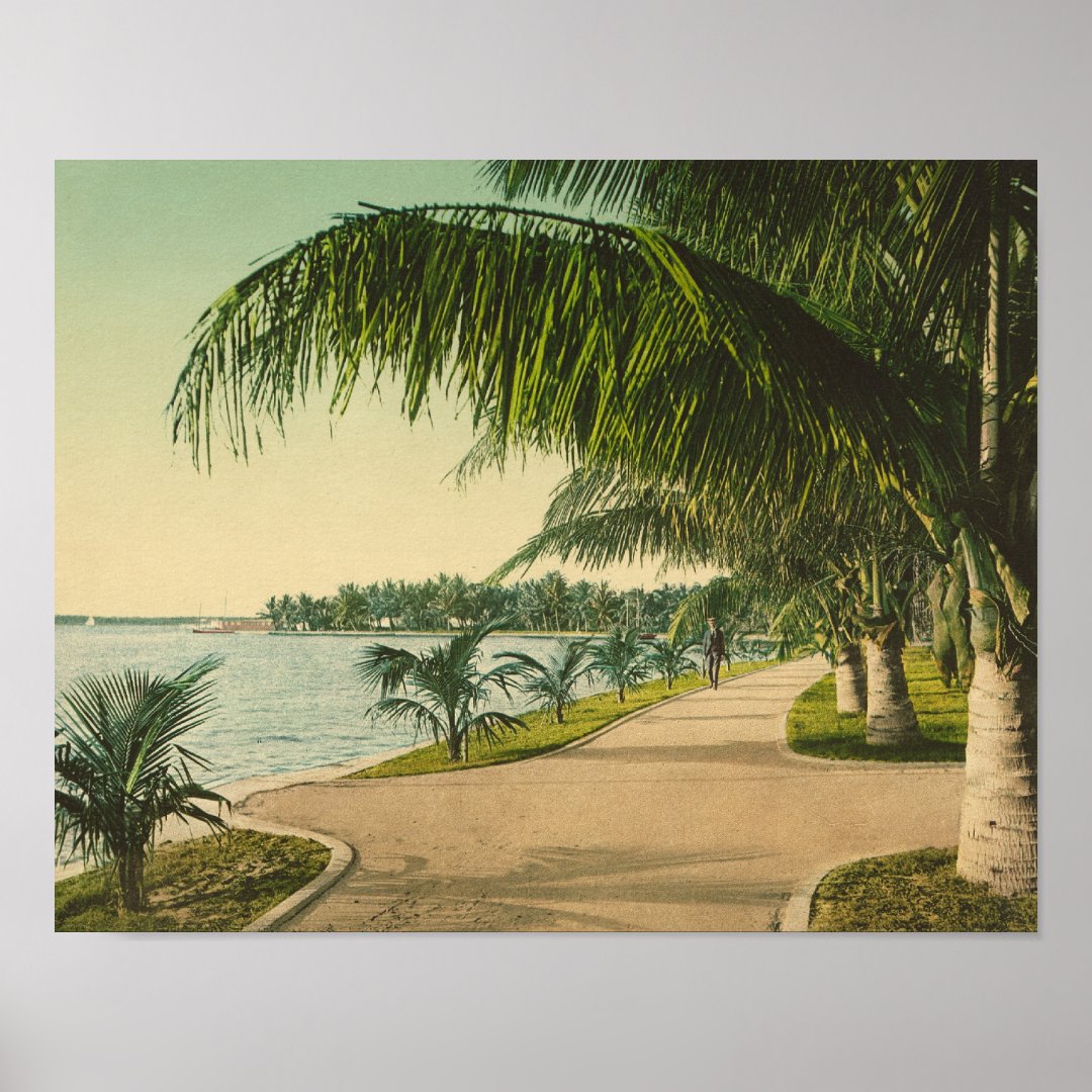 Palm Beach 1898 vintage Florida scene Poster | Zazzle