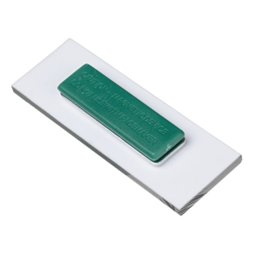 Palm leaf name tag | Zazzle