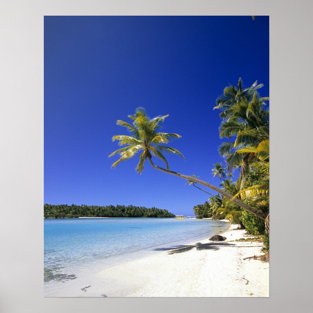Palm lined beach Cook Islands Poster | Zazzle