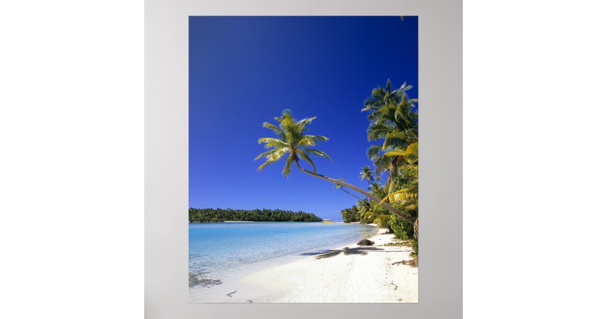 Palm lined beach Cook Islands Poster | Zazzle