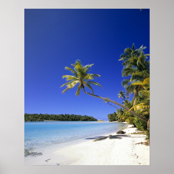 Palm lined beach Cook Islands Poster | Zazzle
